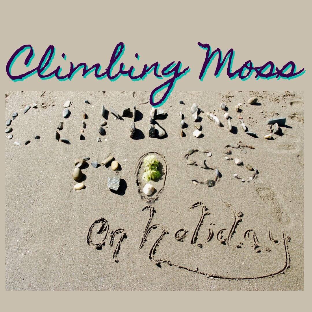 Climbing Moss go on Holiday (Part 1) – Climbing Moss