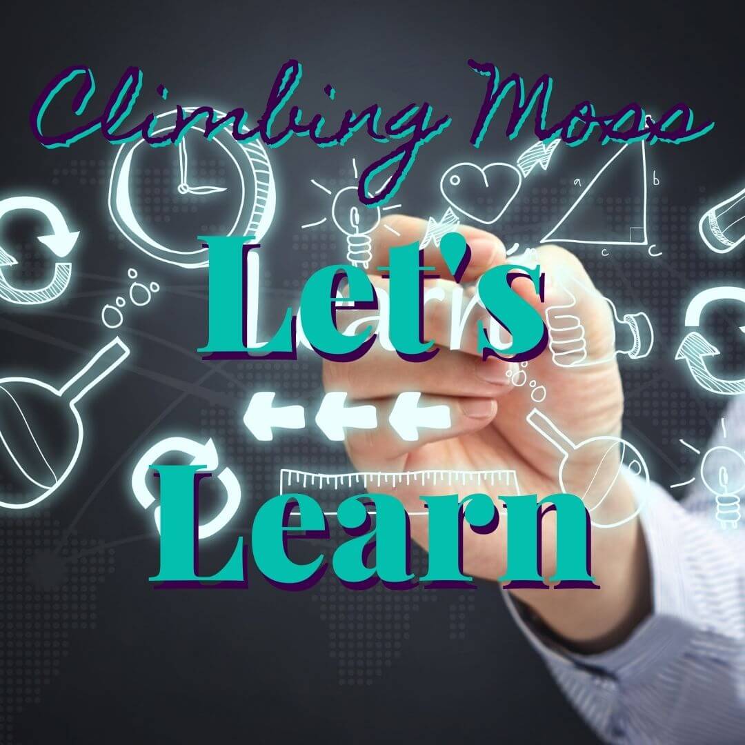 Let’s Learn something New in 2020 – Climbing Moss