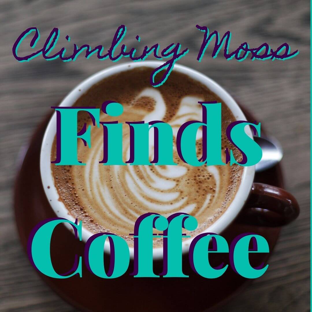 Is that the Best Coffee in London? – Climbing Moss