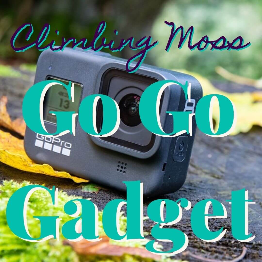 Go Go Gadget! – Climbing Moss