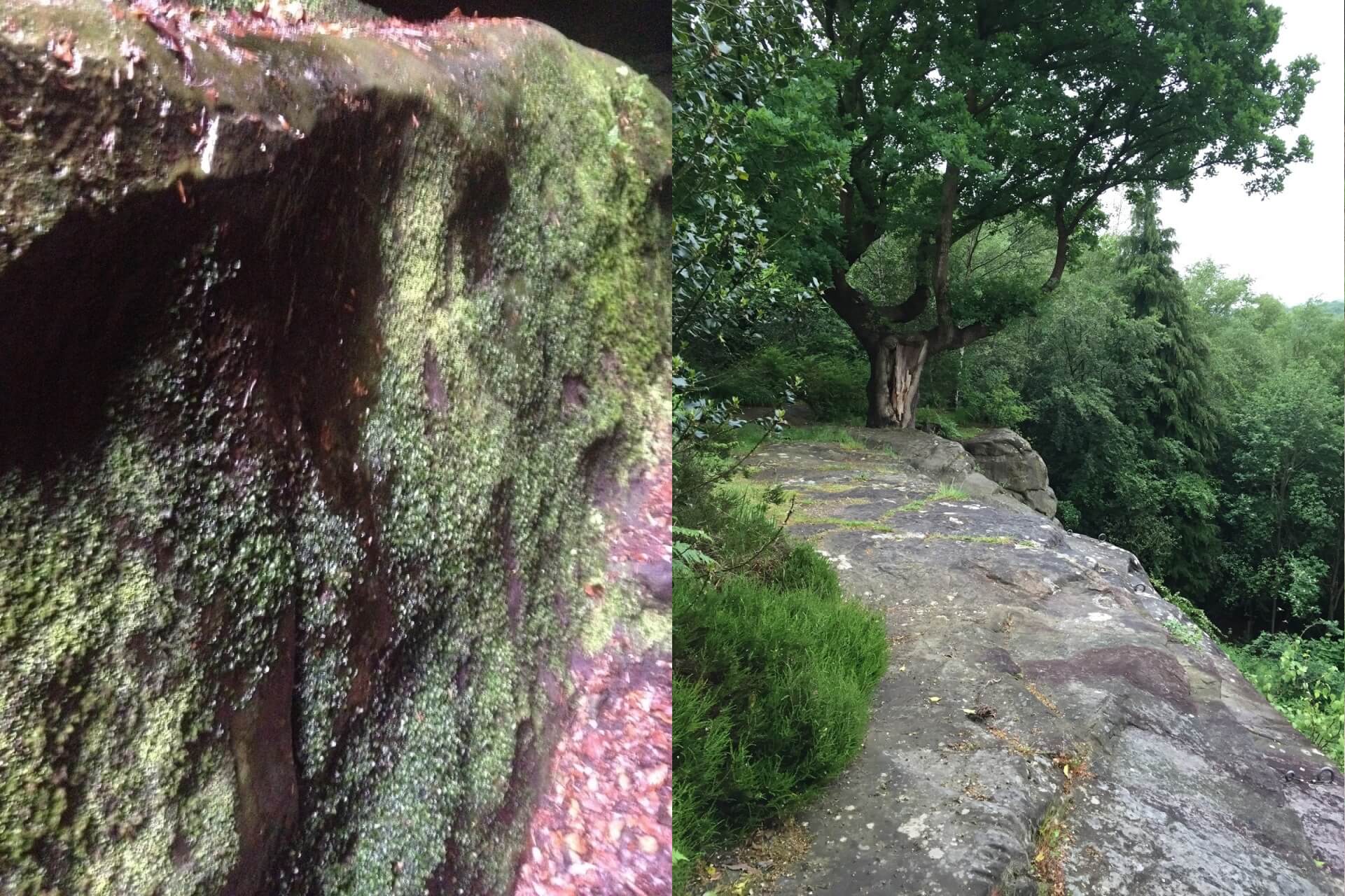 A wet and yucky day out to climb at Southern Sandstone – Climbing Moss